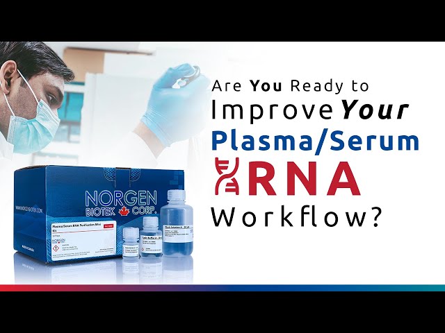 Corona Test Kit - Nu Life Care Abcheck syphilis antibody rapid test ...