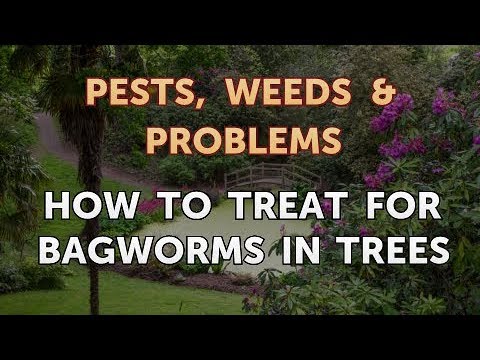 How to Treat for Bagworms in Trees