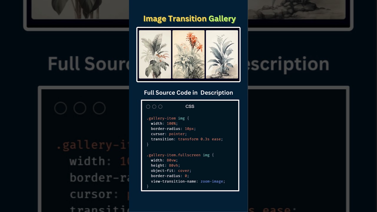 Fullscreen Image Gallery Animation 🔥 | View Transition API (HTML CSS JS)