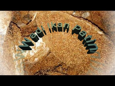 Wadi Ikan Patin Atau Pekasam Ikan Patin Khas Kalteng | KASKUS