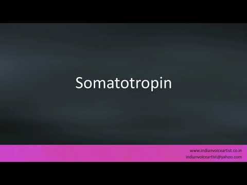 Pronunciation of the word(s) "Somatotropin".