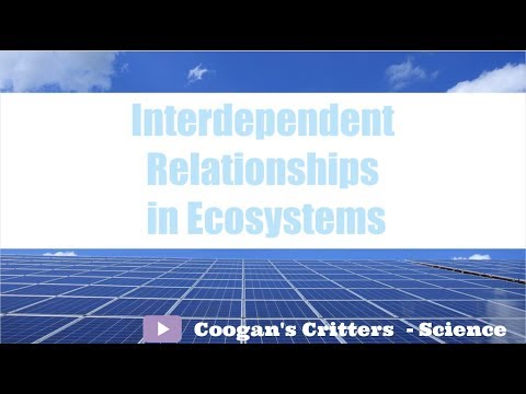 Interdependent Relationships in Ecosystems - Middle School Science