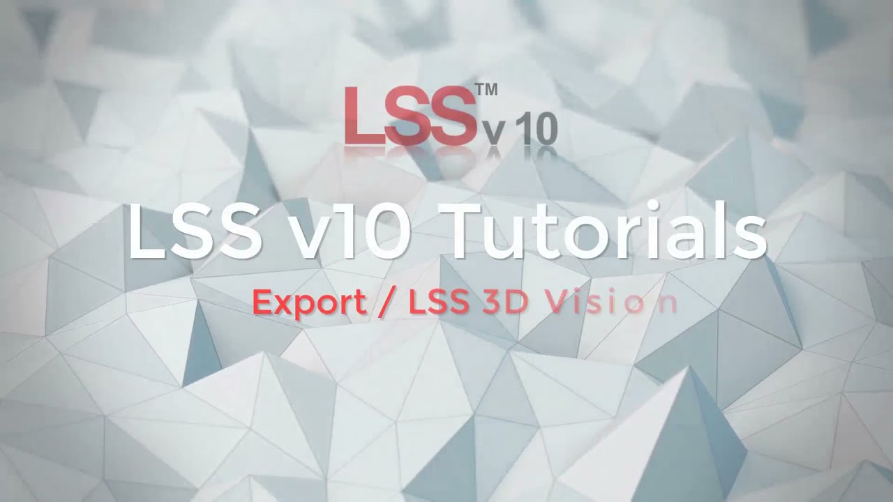 Export 3D Vision Command - LSS Tutorial