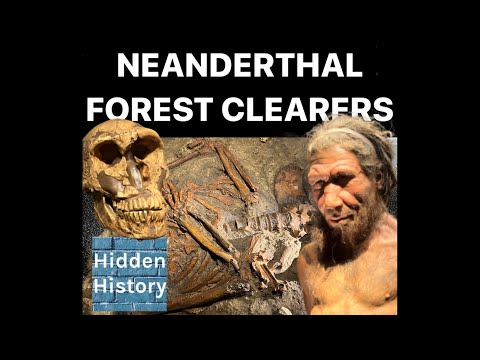 New video: Neanderthals ‘artificially transformed their environment and ...
