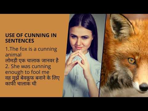 Cunning Meaning