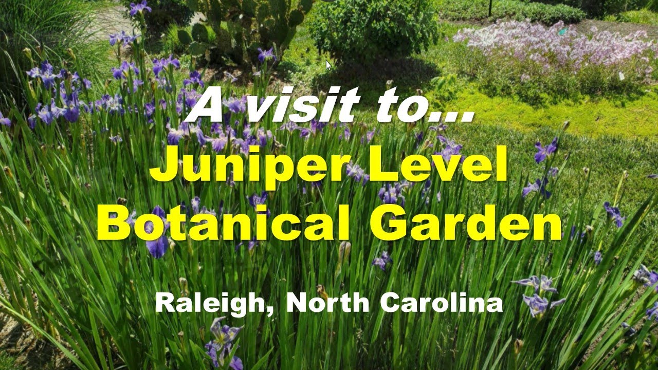 A Visit to Juniper Level Botanical Garden - Raleigh, NC