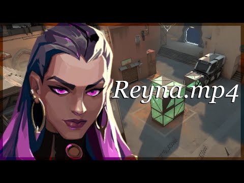 Steam Community :: Video :: Reyna.mp4