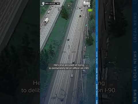 10-time convicted felon accused of dangerous car chase that lasted more than 30 miles