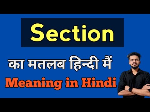 Section Meaning in Hindi | Section ka matlab