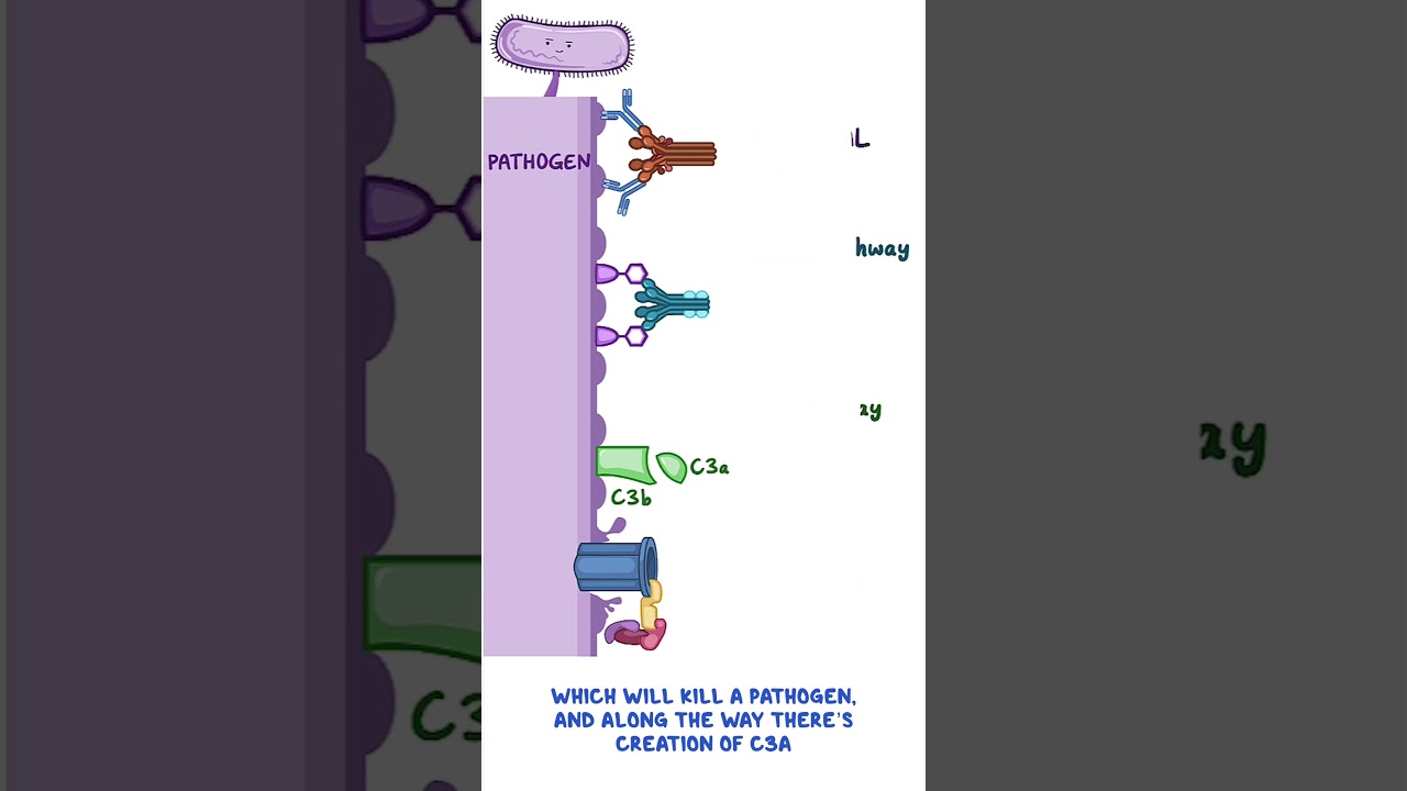 Clinical Cuts: Complement system