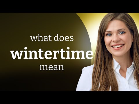 Wintertime • WINTERTIME definition