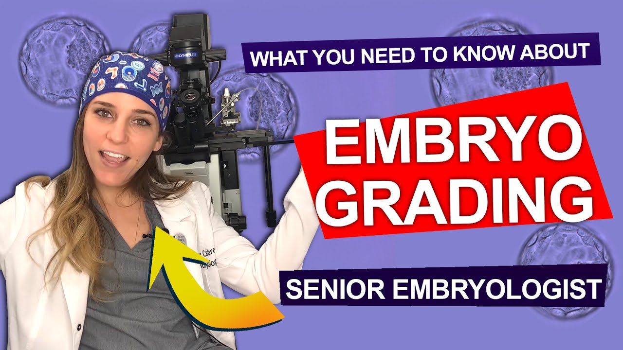The COMPLETE GUIDE to Embryo Grading