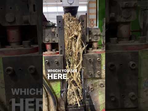 EP4: How the heck do we make HempWood?
