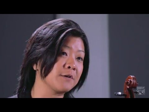 Prim Cello String D Medium iMuso