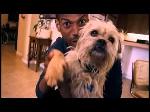 3 Best spoof of Horror and Action movies | TheHippyApe