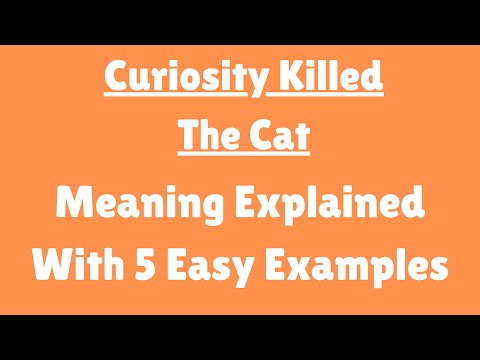 Curiosity killed the cat meaning and example explained, What does curiosity killed the cat meaning