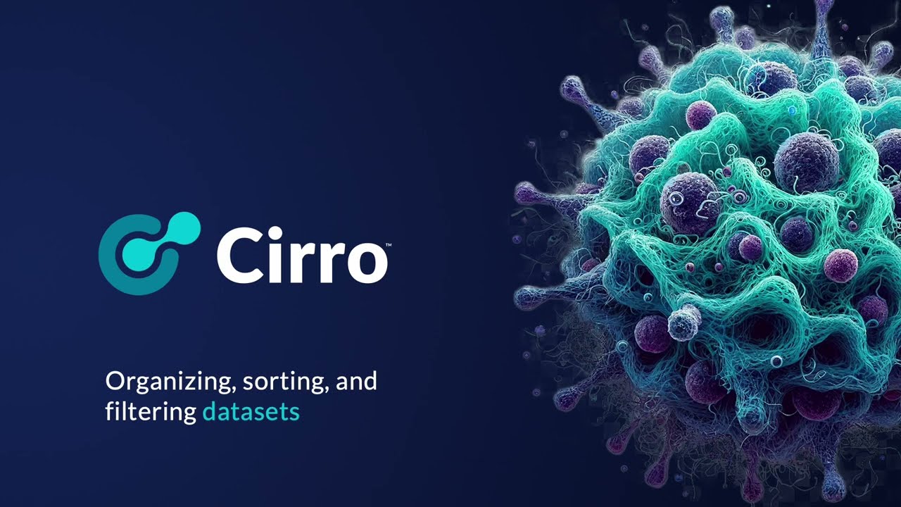 Cirro: Organizing, Sorting, and Filtering Datasets