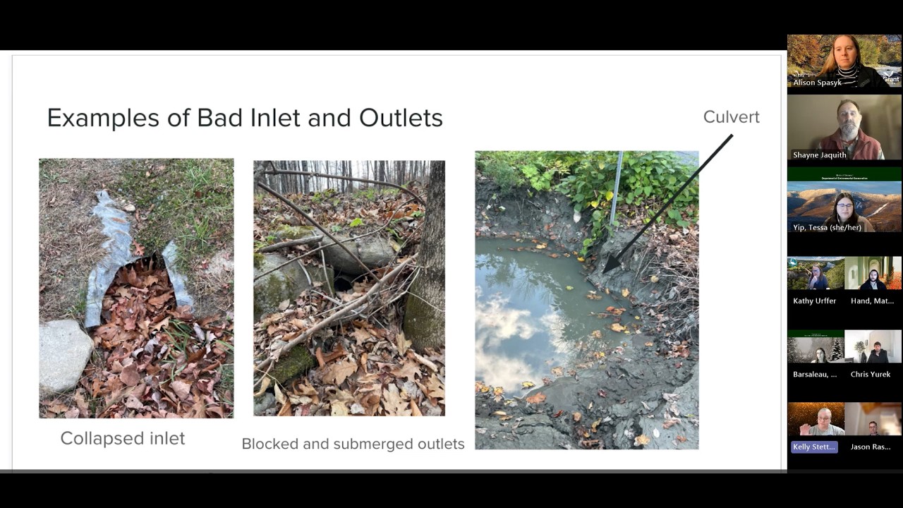 Statewide and Local Efforts to Address Flooding in the Mount Ascutney Region
