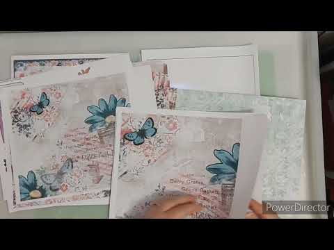 Women of the Bible Study- Peters MIL - printable journal kit