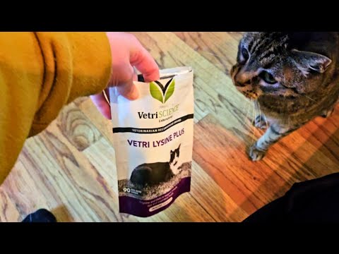 VetriScience Vetri Lysine Plus Cat Supplement Review: A Must-Have for Feline Health