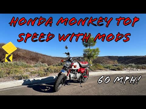 Honda Monkey Top Speed with New Mods!