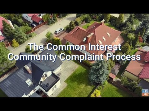 CIC Complaint Process