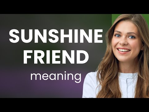 Sunshine Friend: Understanding Friendship in Different Weather