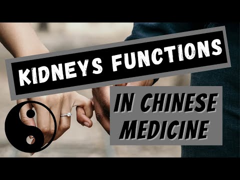 Kidneys functions in Chinese Medicine