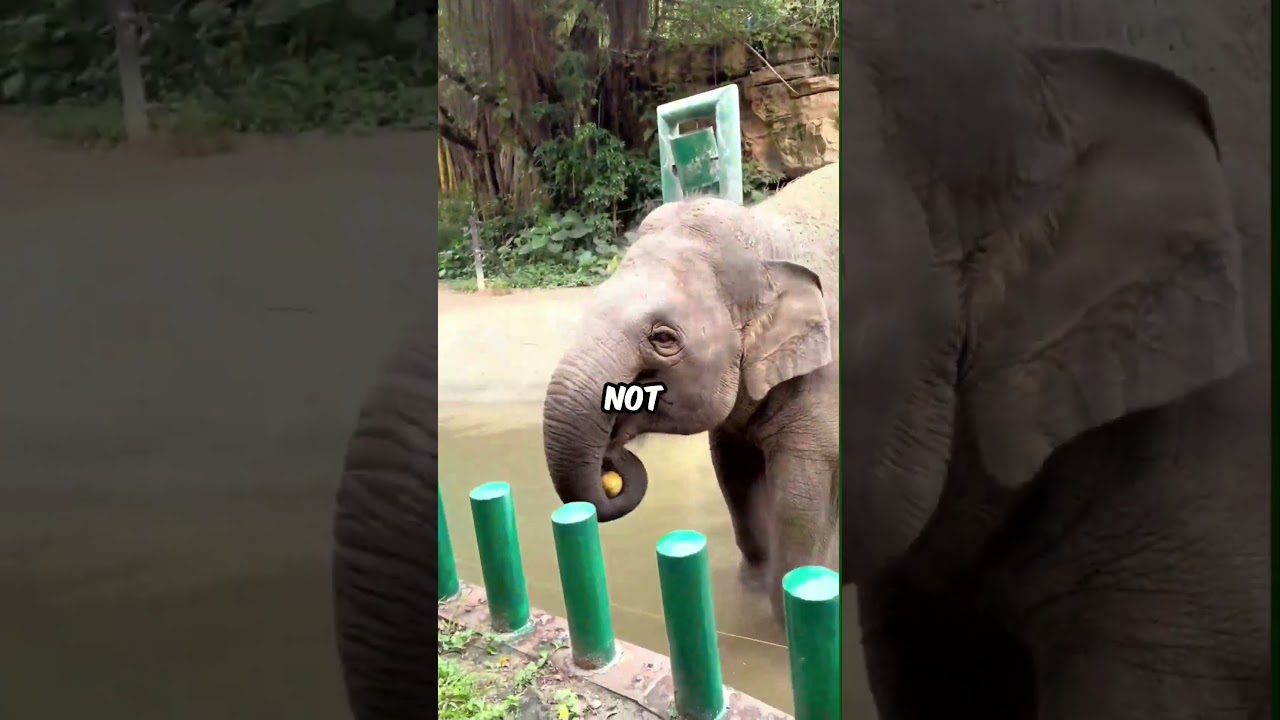 Brother Gambles Away Inheritance, Demands My Share