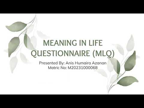 MEANING IN LIFE QUESTIONNAIRE