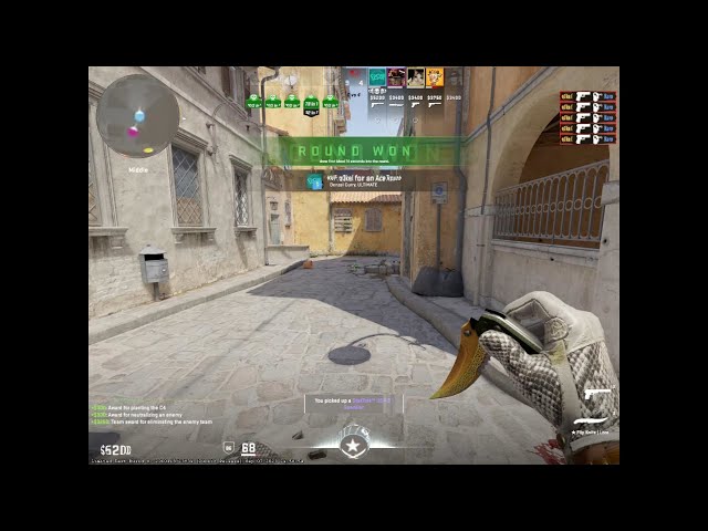 10 CS2 pros who play with 4:3 black bars