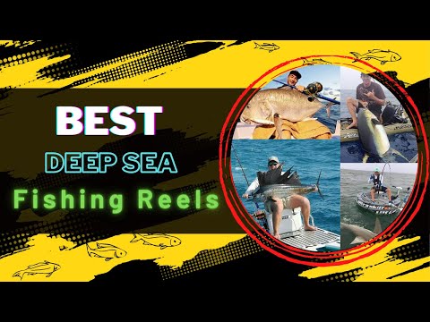 10 Best Deep Sea Fishing Reels In 2022 [Reviews & Buying Guide]