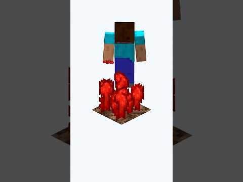 Minecraft Nether Wart FACTS