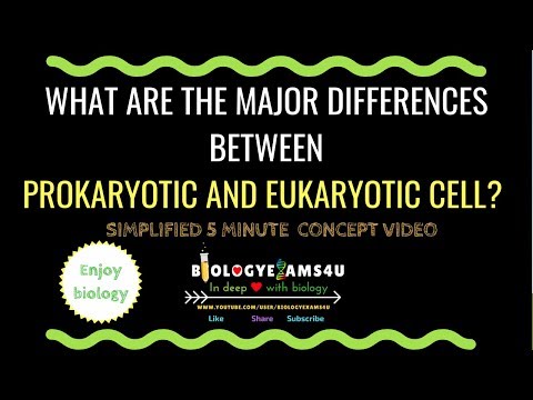 5 Major Differences Between Prokaryotic and Eukaryotic Cell | Prokaryotic vs Eukaryotic Cell