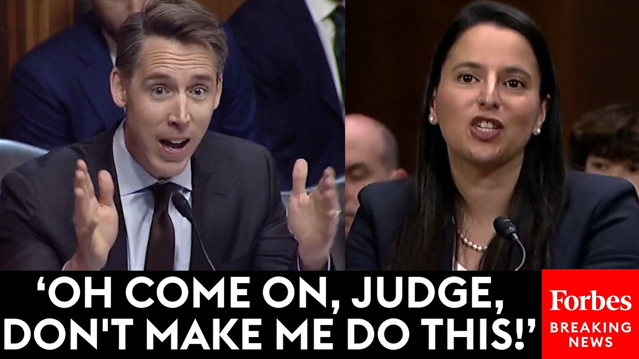 Hawley Sets Trap For Biden Nominee, Takes No Prisoners – WATCH | Red ...