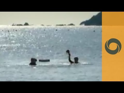 The famous ama female divers - Toba, Japan