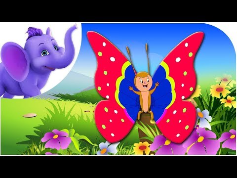 I'm A Little Butterfly - Nursery Rhyme with Lyrics