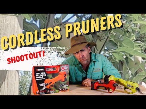 Secateur Shootout: Kebtec vs Mobishear vs Ryobi cordless pruners - The Winner Revealed