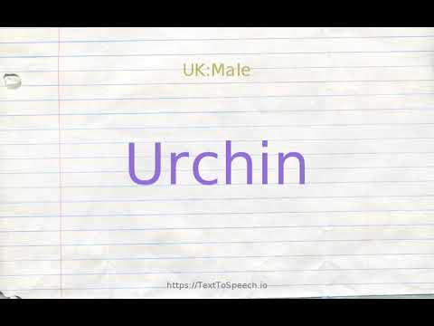 How to pronounce urchin
