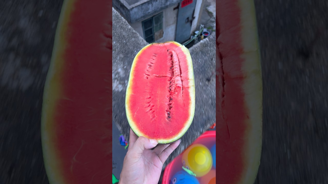 Experiment: Will a watermelon explode if it rolls down from a tall building? 🍉💥#waterballoon