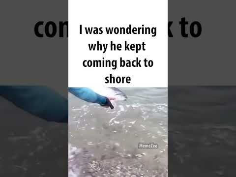 🐟