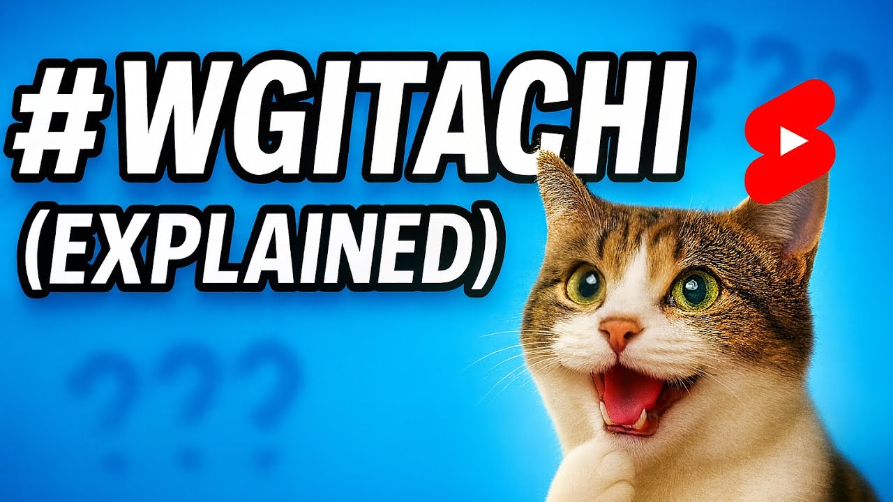 The #wgitachi + #gamtng meaning EXPLAINED! 