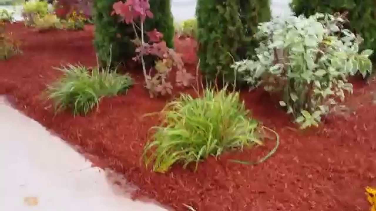 Wendy's 2400 Dundas St W Front Landscape Re Arrangement - August 20th 2014