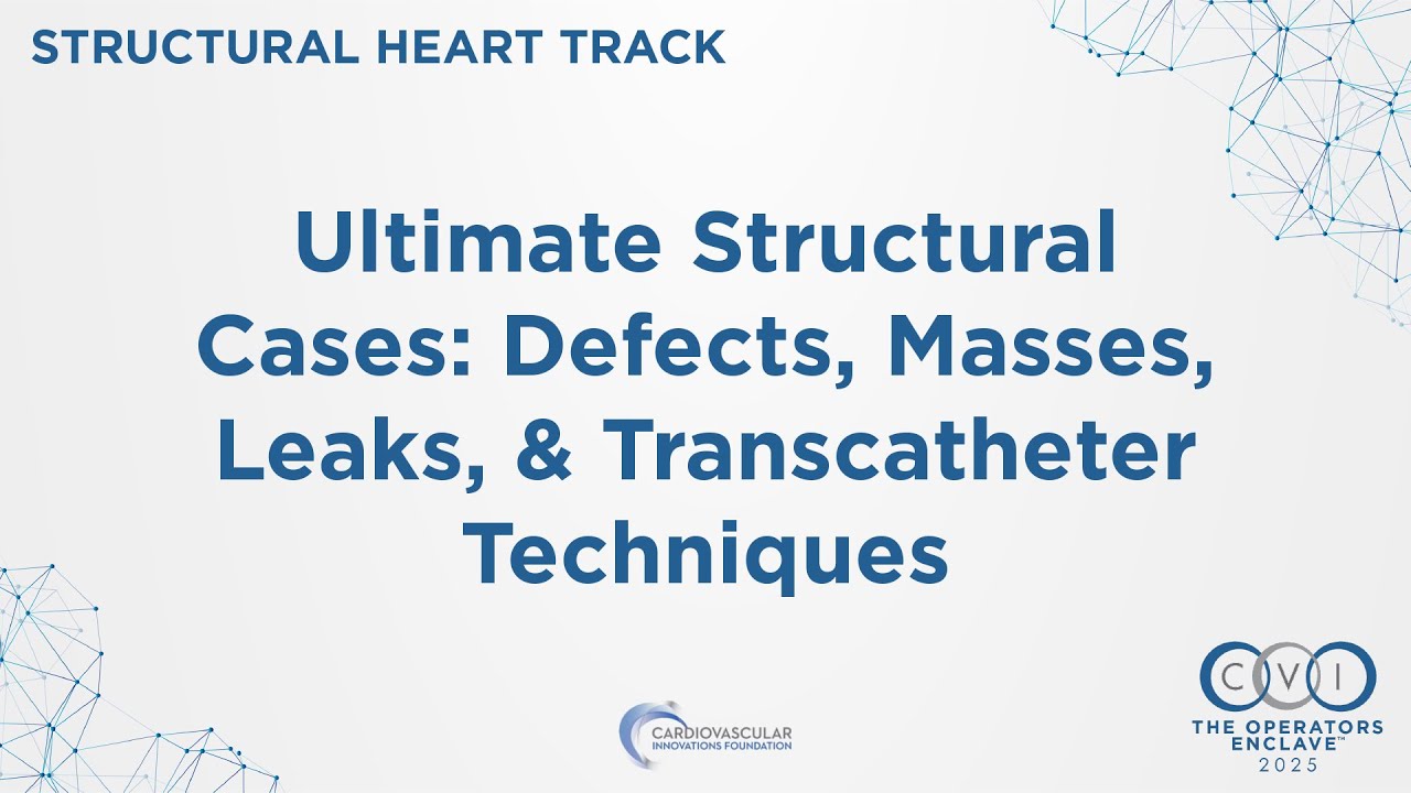 CVI 2025 - Structural Session 10: Ultimate Structural Cases