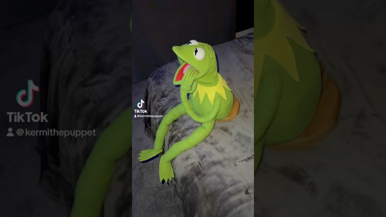 Roblox New’s Reporter TIKTOK Meme With Kermit The Frog