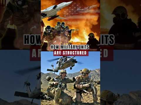 How Military Units Are Structured | Understanding Army Ranks #shorts #military #armystructure #vttn