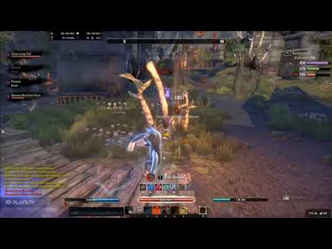 [Build] "Hairy Situation" PVP Healer/Werewolf — Elder Scrolls Online