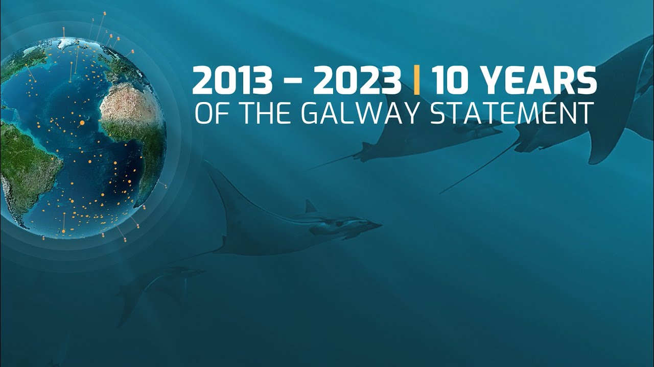 Celebrating 10 years of the Galway Statement 2013-2023