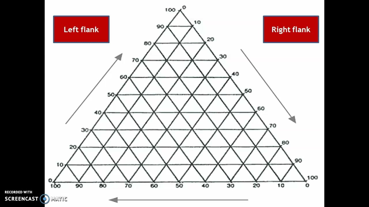 TRIANGULAR GRAPHS (Reading & Understanding)
