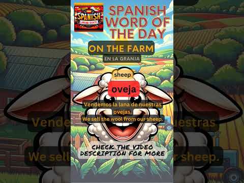 Sheep - Beginner - Spanish Word of the Day - Learning Spanish Language Secrets #beginnerspanish